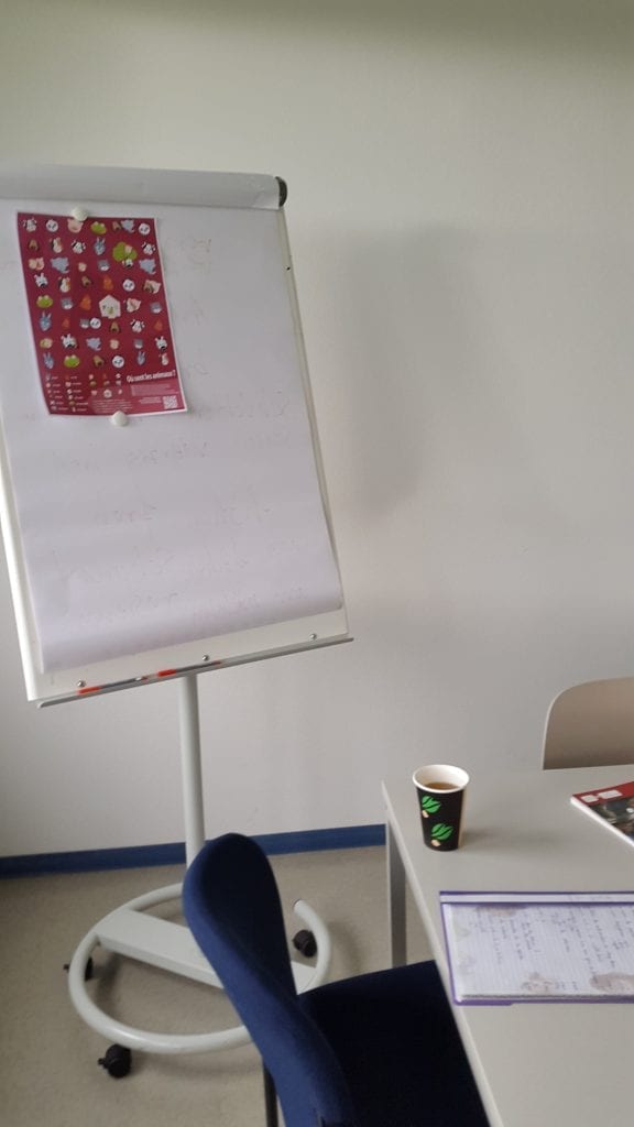 Poster jeu : où sont les animaux ? - Les Zexperts FLE