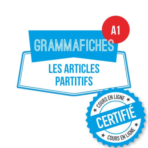 Fiche de grammaire : articles partitifs A1 - Les Zexperts FLE