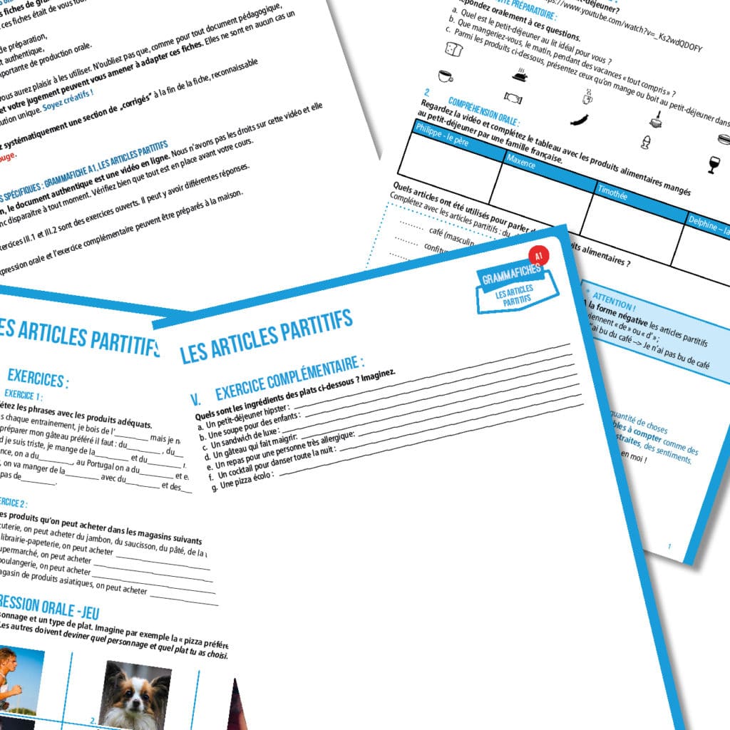 GRAMMAFICHE A1: les articles partitifs - Les Zexperts FLE