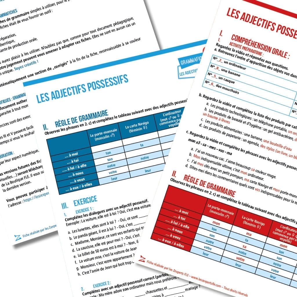 Fiche de grammaire FLE : les adjectifs possessifs A1 - Les Zexperts FLE