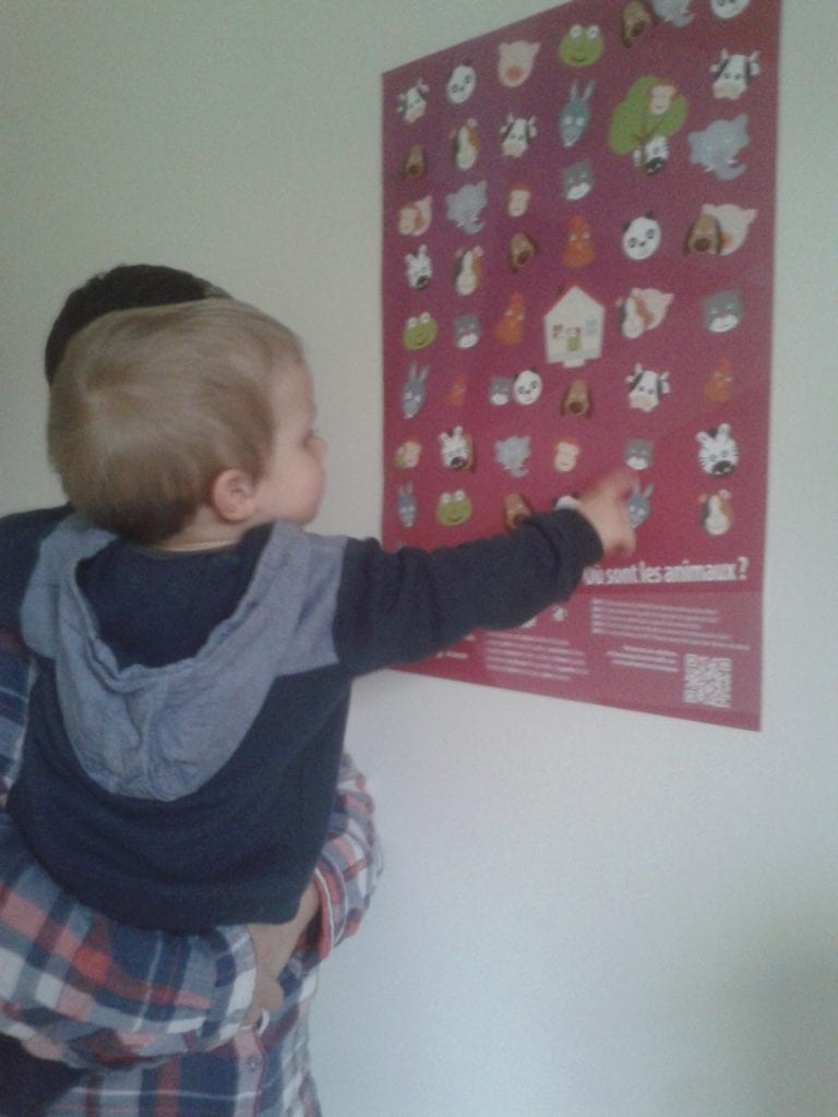 Poster jeu : où sont les animaux ? - Les Zexperts FLE