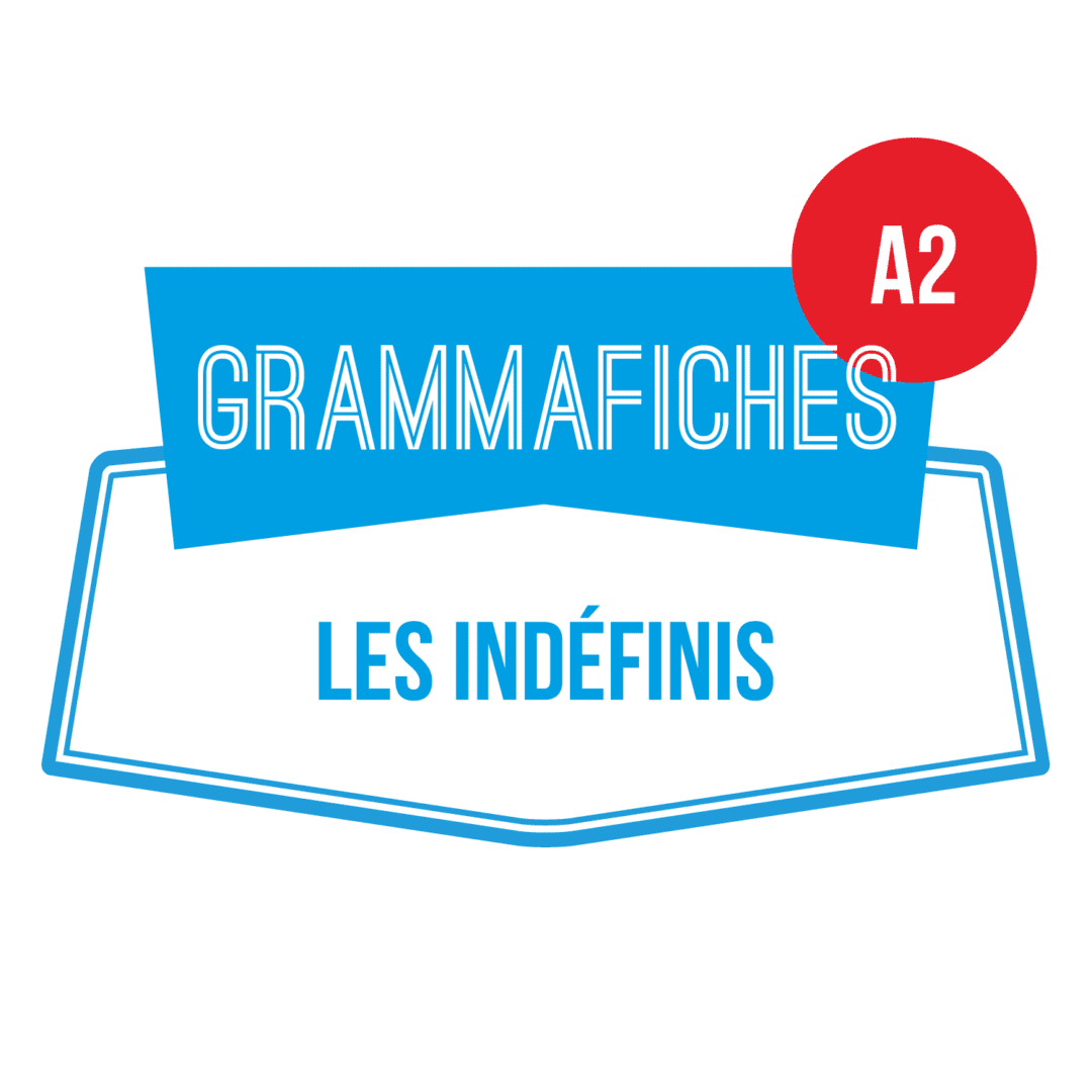 Ressources FLE : articles définis et indéfinis - Les Zexperts FLE