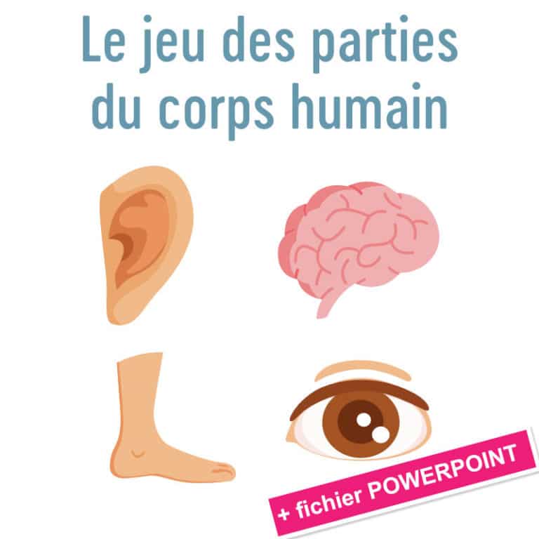 Le jeu des parties du corps - Les Zexperts FLE
