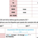 3 activités FLE sur les pronoms COD et COI, niveau A1