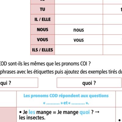 3 activités FLE sur les pronoms COD et COI, niveau A1