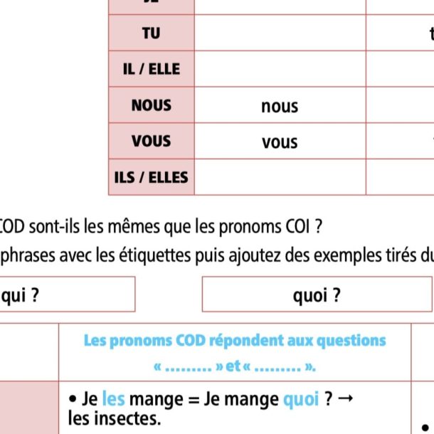 1,2,3… pronoms COD et COI ! | Les Zexperts FLE