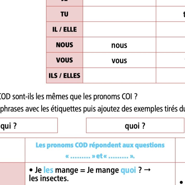 3 activités FLE sur les pronoms COD et COI, niveau A1