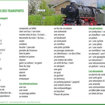 Activités FLE sur les Transports - Les Zexperts FLE