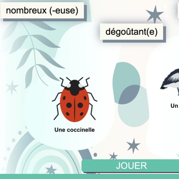 Activités numériques FLE comparaison A1-A2 - Les Zexperts FLE