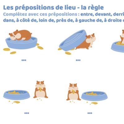 5 activités sur les prépositions de lieu FLE A1 - Les Zexperts FLE