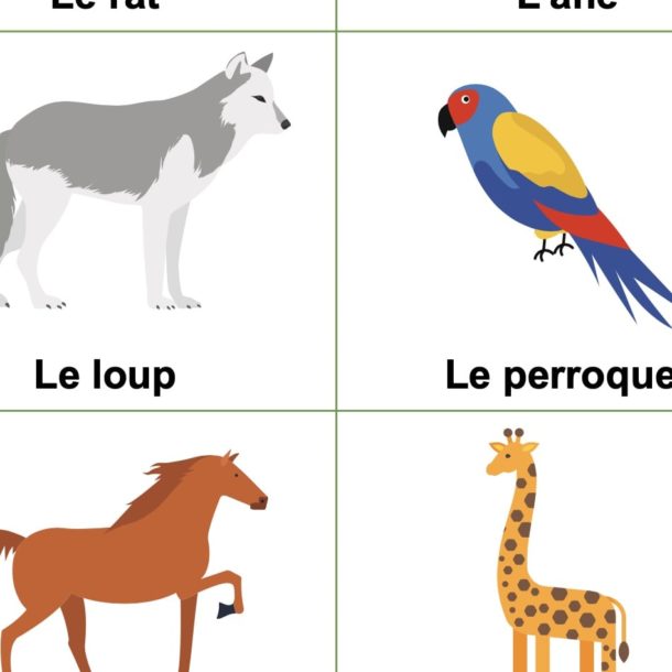 Activités et tâches FLE sur les animaux - Les Zexperts FLE