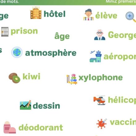 35 activités FLE pour premiers cours débutants - Les Zexperts FLE