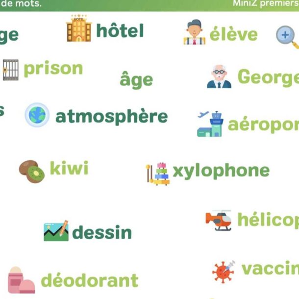35 activités FLE pour premiers cours débutants - Les Zexperts FLE