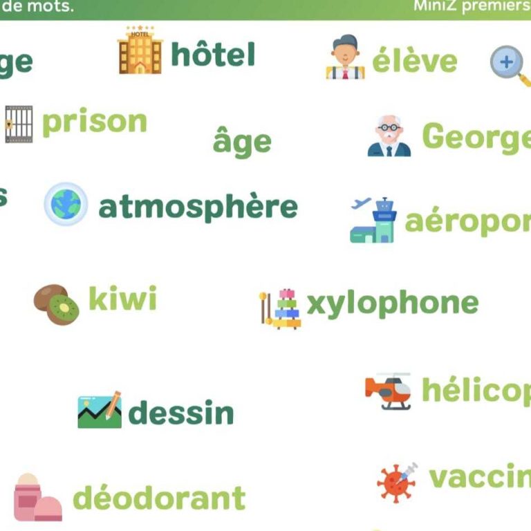 35 activités FLE pour premiers cours débutants - Les Zexperts FLE