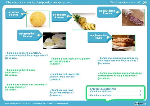 Activité débutant FLE 16/35 : mémoriser les nombres - Les Zexperts FLE