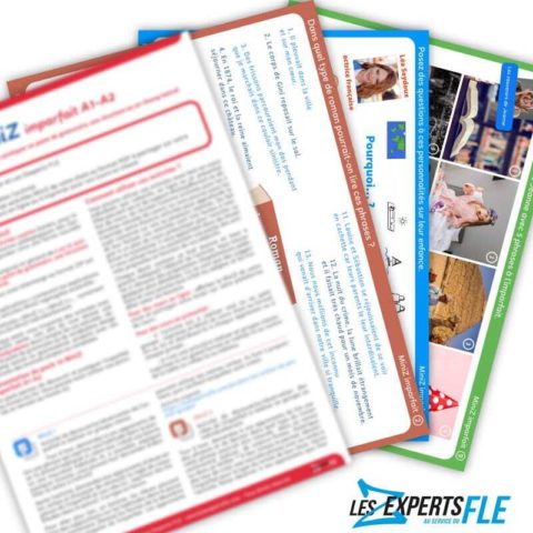 10 activités sur l'imparfait A1-A2 - Les Zexperts FLE