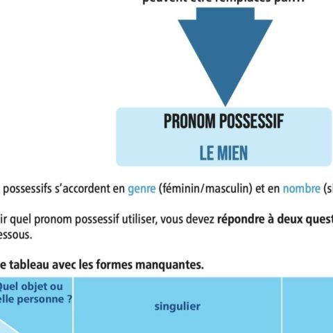 Fiche de grammaire : pronoms possessifs A2 - Les Zexperts FLE