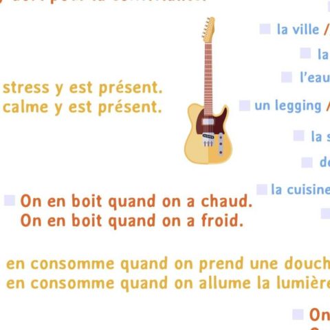 10 activités sur les pronoms Y et EN A1-A2 - Les Zexperts FLE
