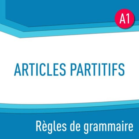 Articles partitifs (A1) : règles de grammaire en PDF