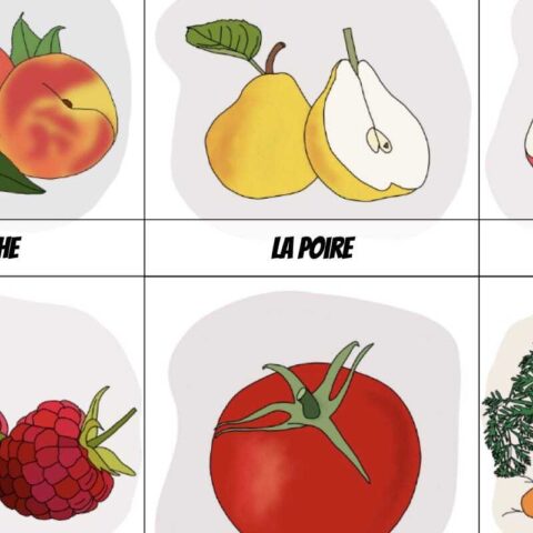 Imagier sur l'alimentation A1-A2 - Les Zexperts FLE