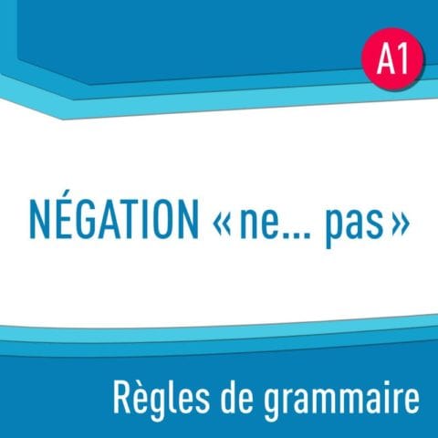 Négation ne pas (A1) : règles de grammaire en PDF
