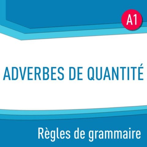 Adverbes de quantité (A1) : règles de grammaire en PDF