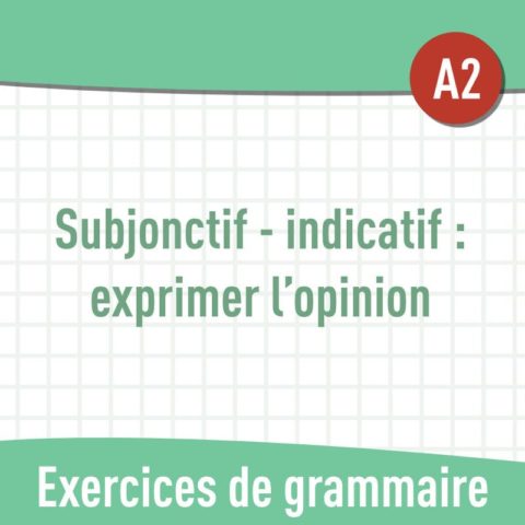 Subjonctif - indicatif : exprimer l'opinion (A2) : exercices de grammaire en PDF