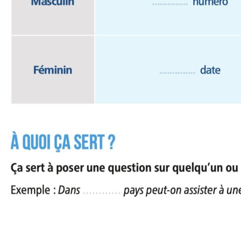 Fiche de grammaire : adjectif interrogatif quel A1 - Les Zexperts FLE