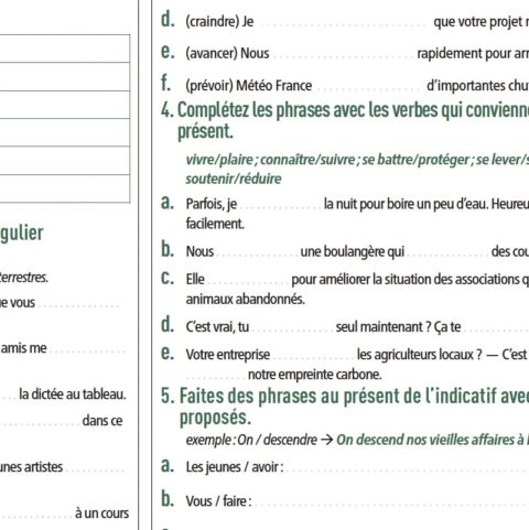 Pack de 345 exercices de grammaire A2 - Les Zexperts FLE